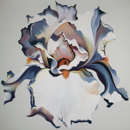 Lowell Nesbitt (american, 1933 1993) White Iris