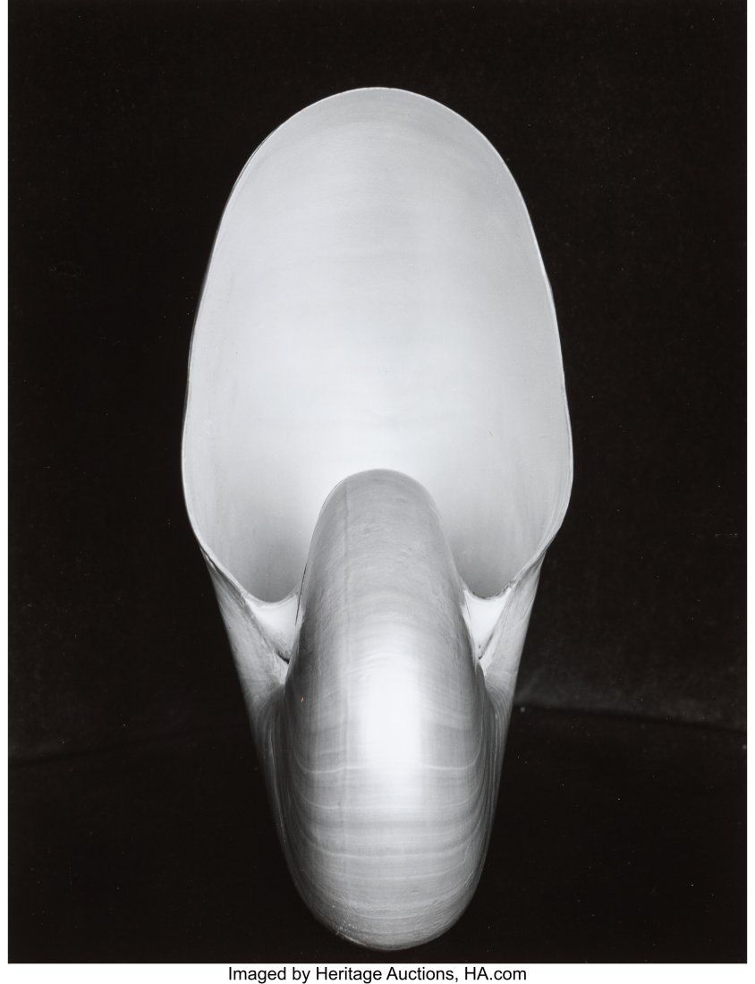 73030: Edward Weston (american, 1886-1958) Shell, 1927 Auction