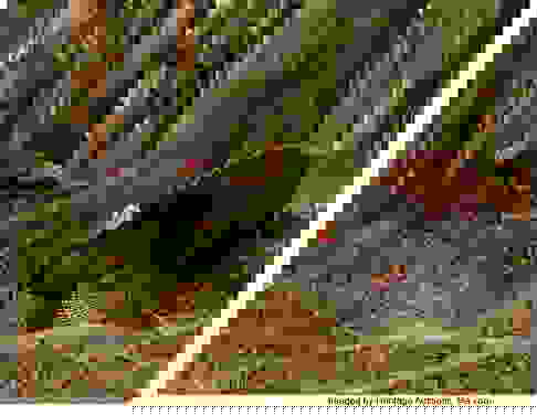 31056: C. Ford Riley (american, B. 1952) Wild Turkeys O Auction