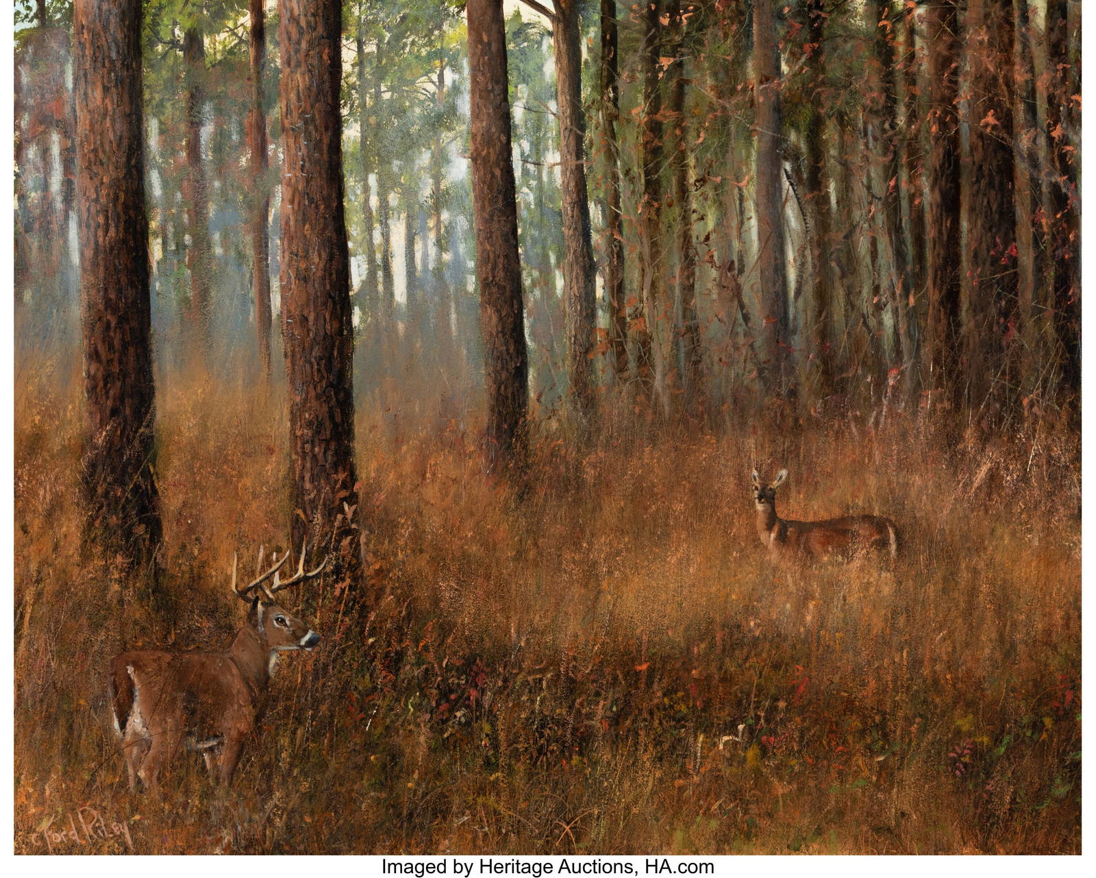 31057: C. Ford Riley (american, B. 1952) Woodland Splen Auction