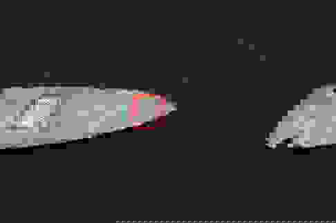 Modern Side Notch Auction