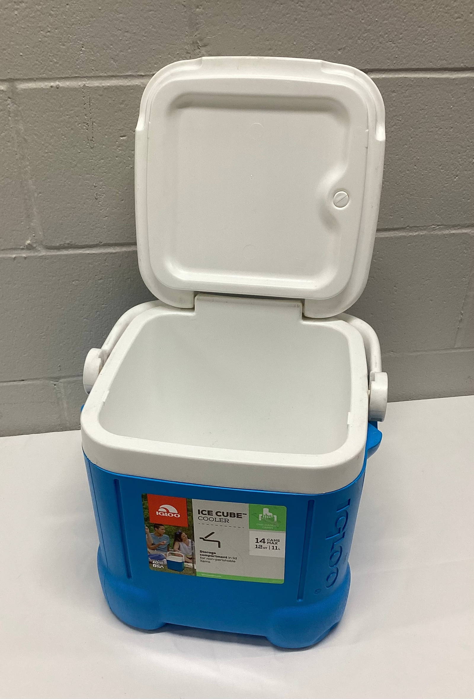 Igloo Ice Cube Cooler Auction