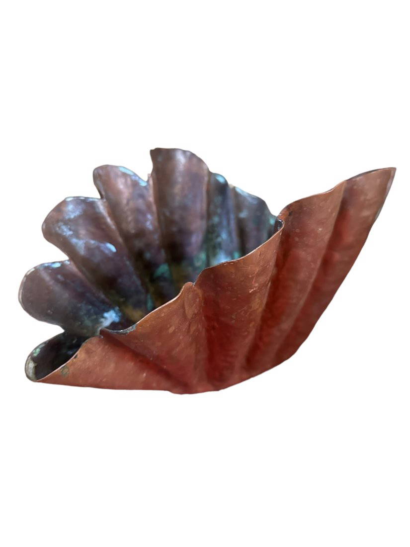 Shell Prices - 598,761 Auction Price Results