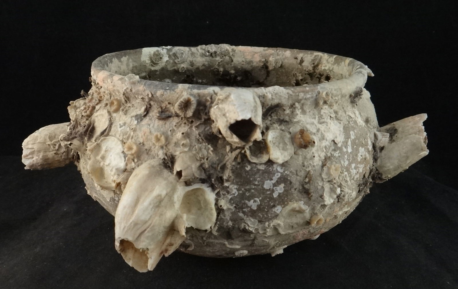 Ancient Roman Pottery Bowl W/ancient Ship Wreck Sea Incrustation, 6 ...