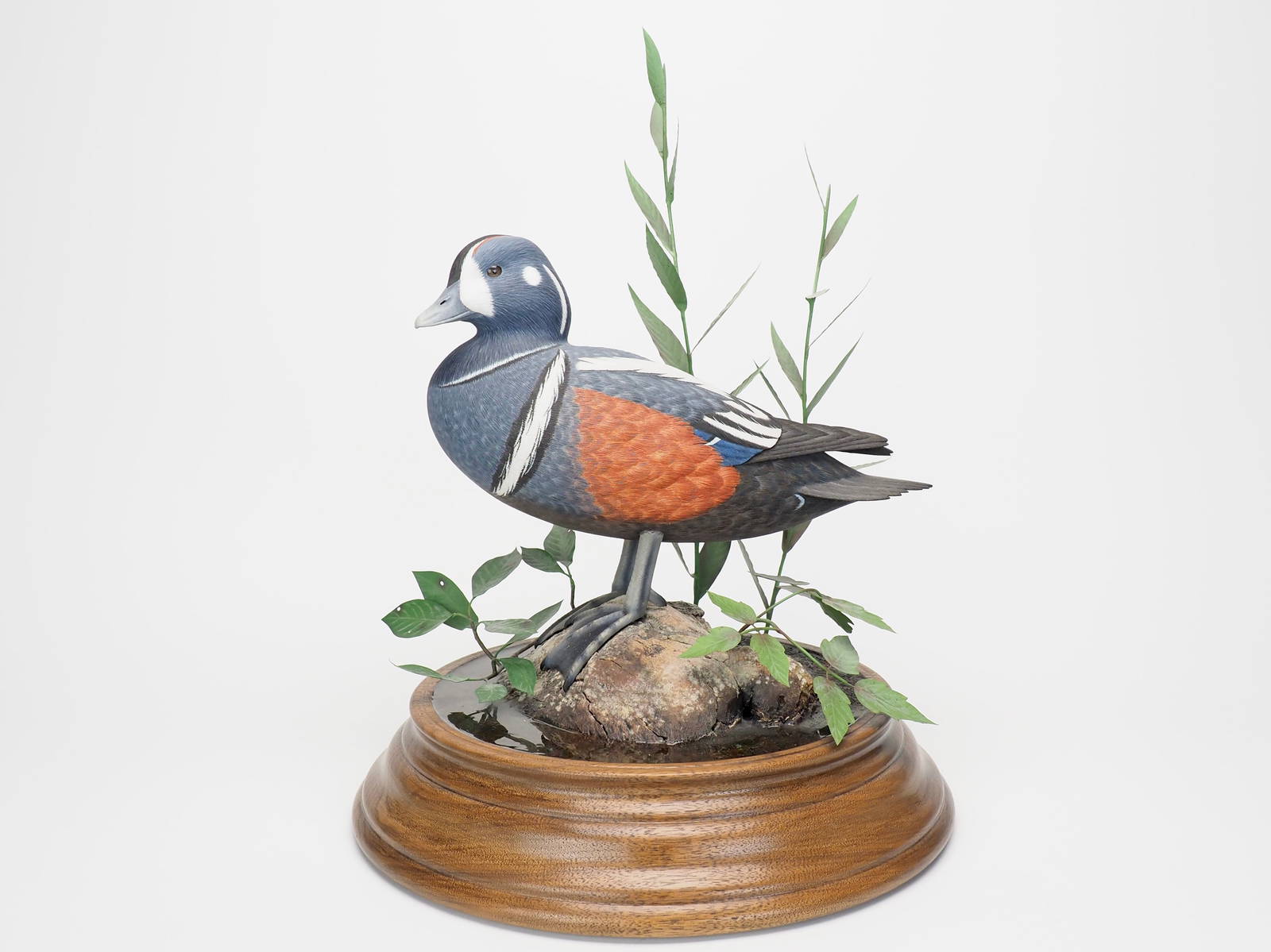 Harlequin Drake - Al Burk Auction