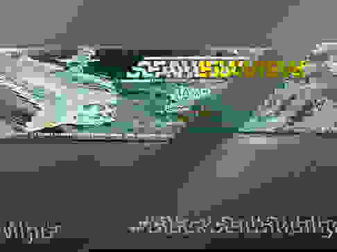 Seaview Model Unopened Auction