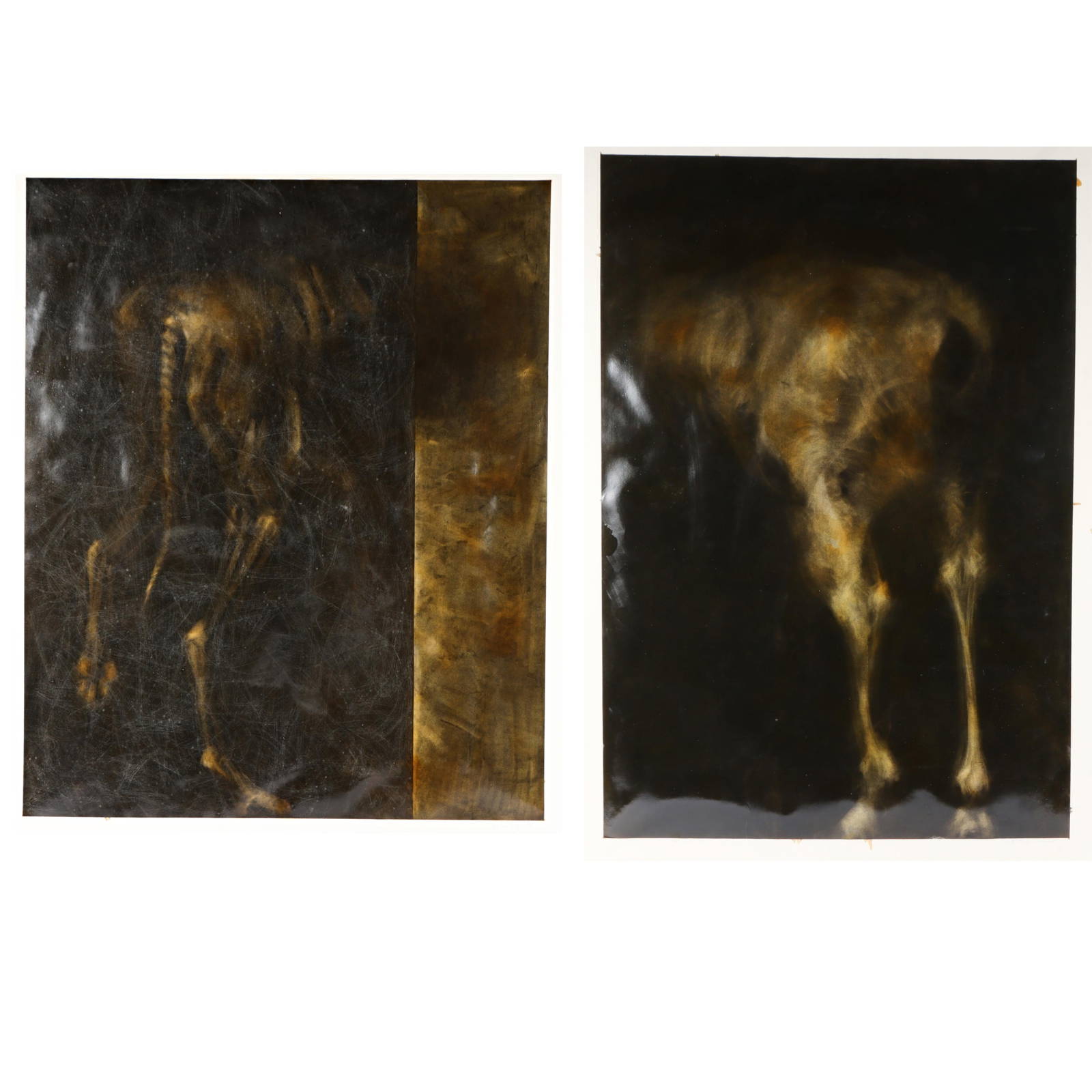 Jason Cole Mager, New York, Indiana (20th/21st Century), 4d / Evolution ...