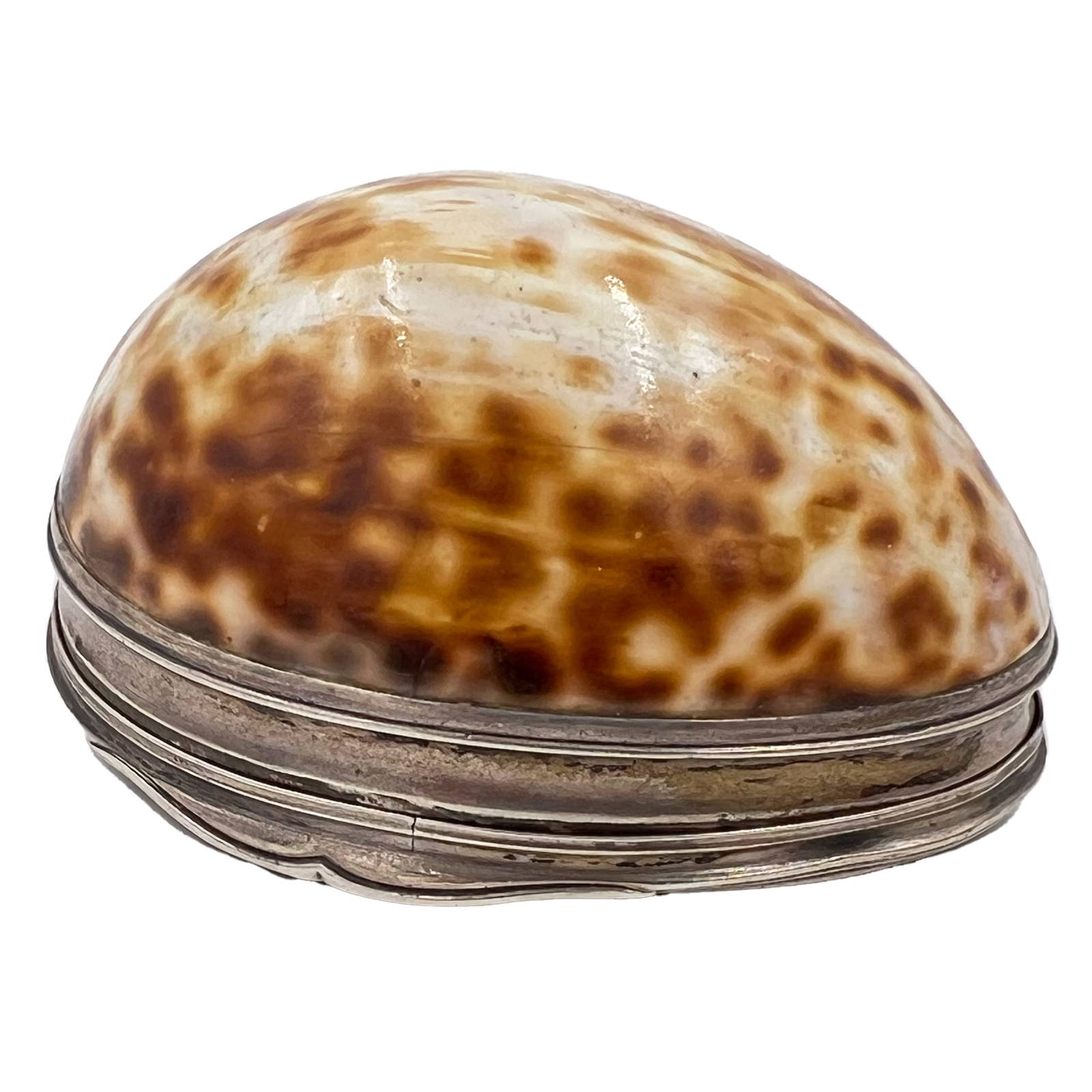 A Silver Mounted Georgian Cowrie Shell Snuff Box, Circa 1800 Auction