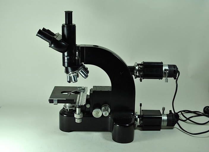 Ernst Leitz Wetzlar German Compound Microscope