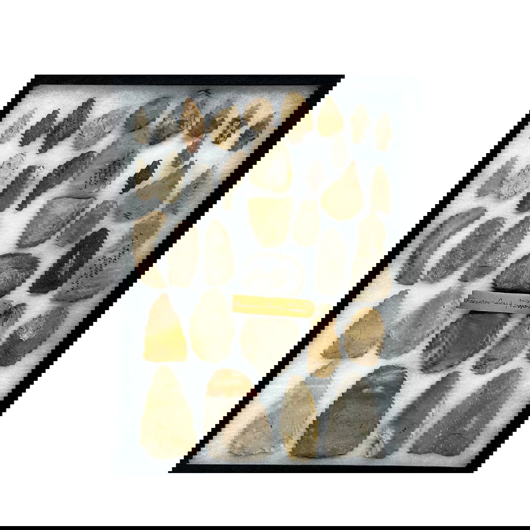 Framed Arrow Head Collection Auction