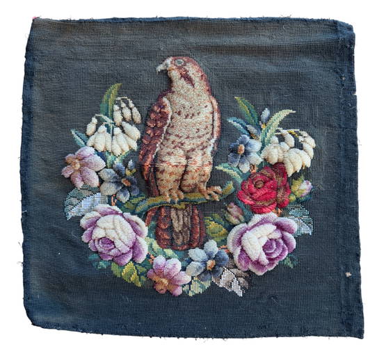 19thc Antique Canvaswork Needlework Embroidery Beaded Hawk Bird Of Prey ...