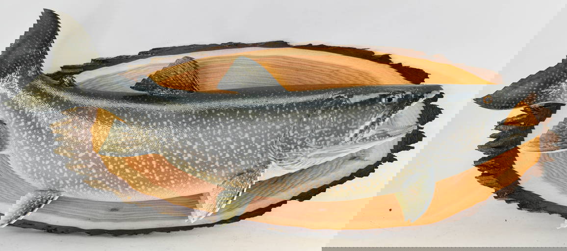 Mounted Lake Trout Fish Replica Taxidermy Trophy