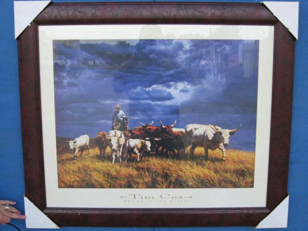 2882: Framed print "Ahead of the Storm" by Tim Cox - Jul 12, 2008 ...