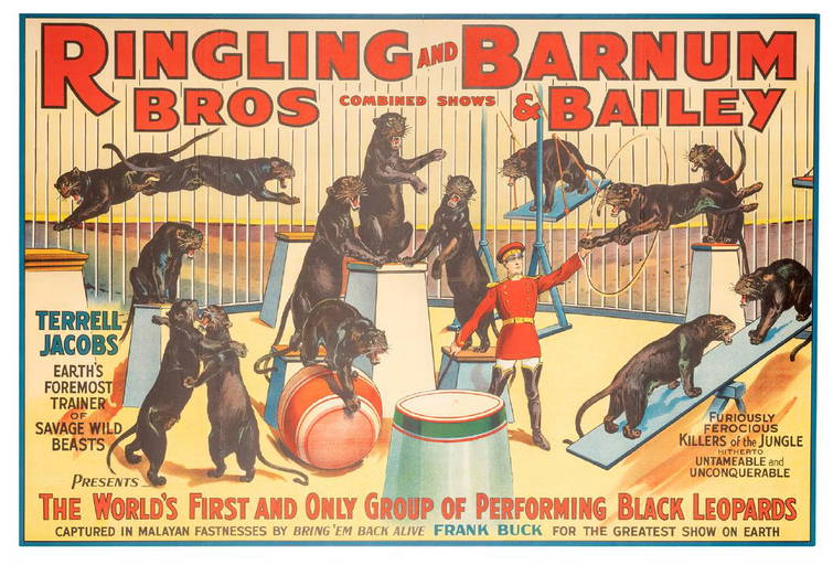 Ringling Bros. And Barnum & Baile. Terrell Jacobs.