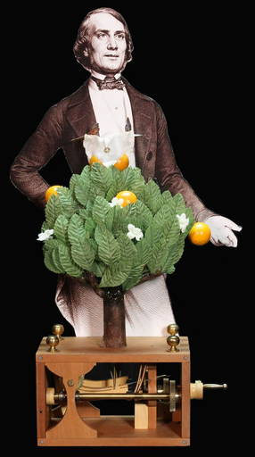 Blooming Orange Tree Automaton.