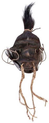 Prop / Gaff Shrunken Head. Realistic prop shrunken head com... (#0474 ...