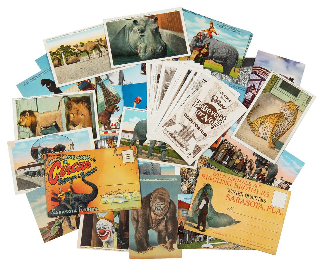 [circus—postcards]. Lot Of Circus Postcards And Postcard Se... Auction