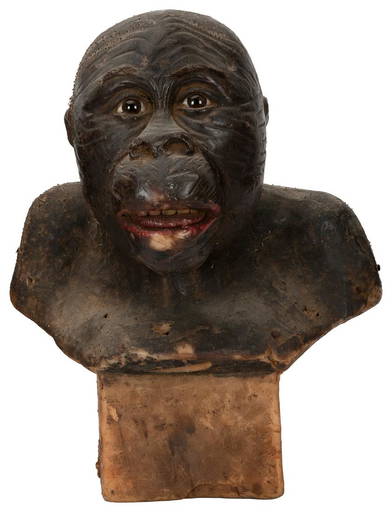 Wax Monkey Bust. Wax Bust Of A Monkey From An Anatomical Mu...