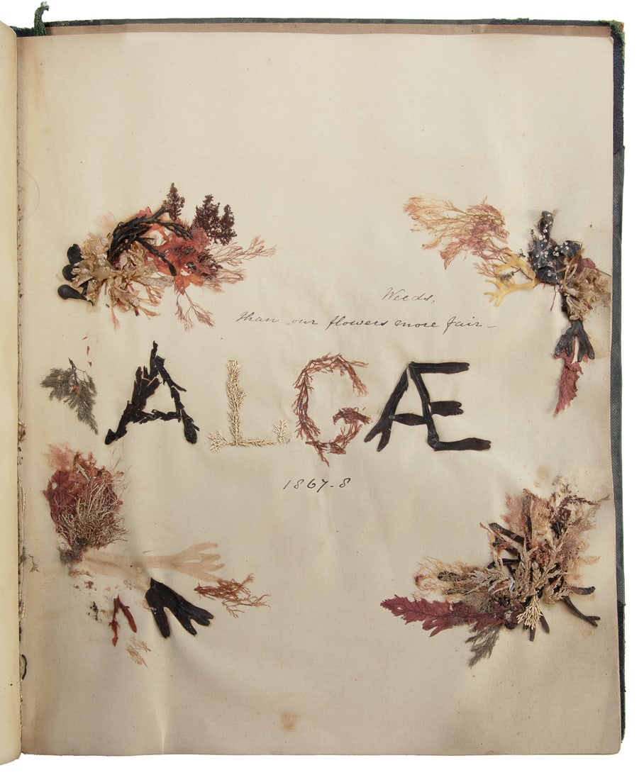 [specimen Album]. A Specimen Album With Samples Of Oceanic ... Auction