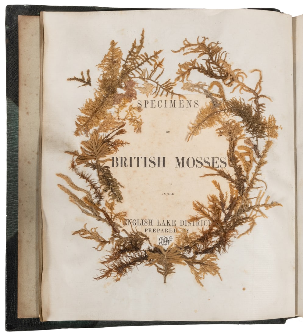 [specimen Album British Mosses]. A Group Of 5 Specimen Al...