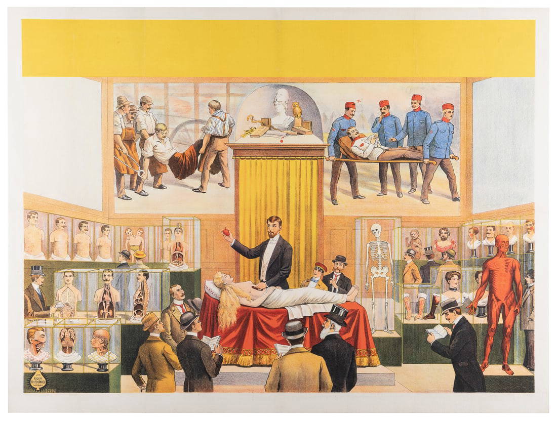 [sideshow / Oddities]. Anatomical Oddities / Medical Sidesh... Auction