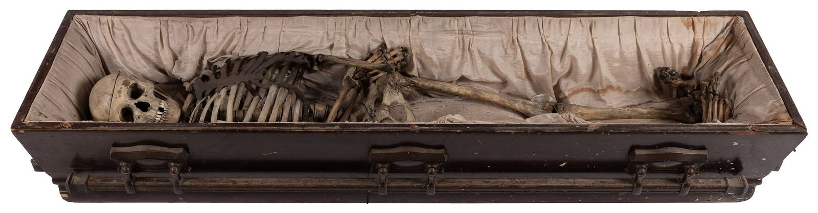 [sideshow]. Sideshow Human Skeleton In Coffin. Circa Early ...