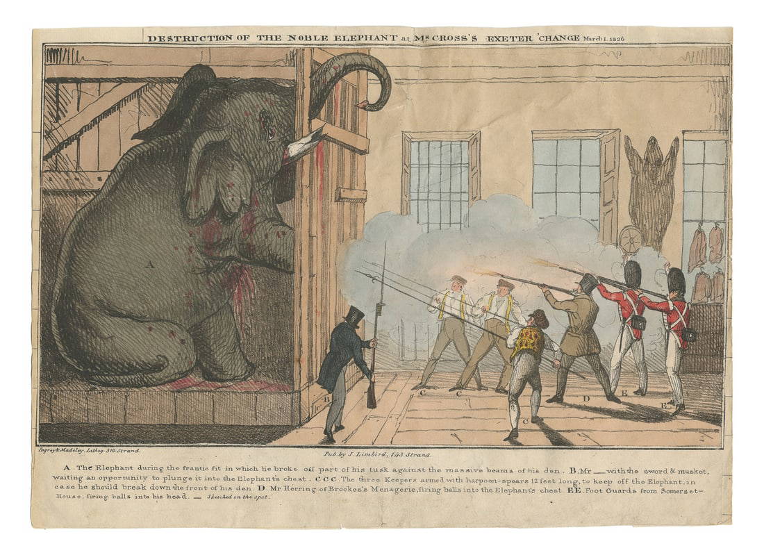 [elephant]. Destruction Of The Noble Elephant. [london]: In... Auction