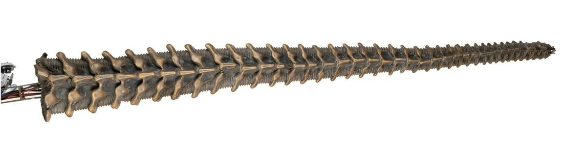 Animatronic Xenomorph Alien Tail From Aliens.