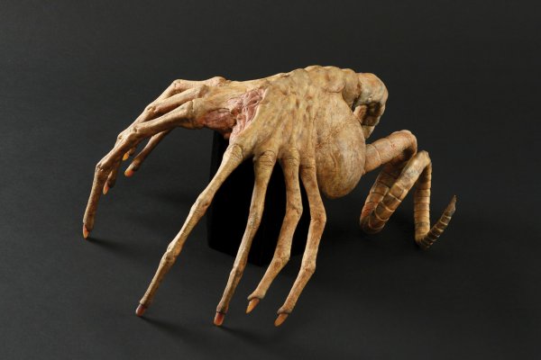 958: Facehugger puppet from Alien: Resurrection