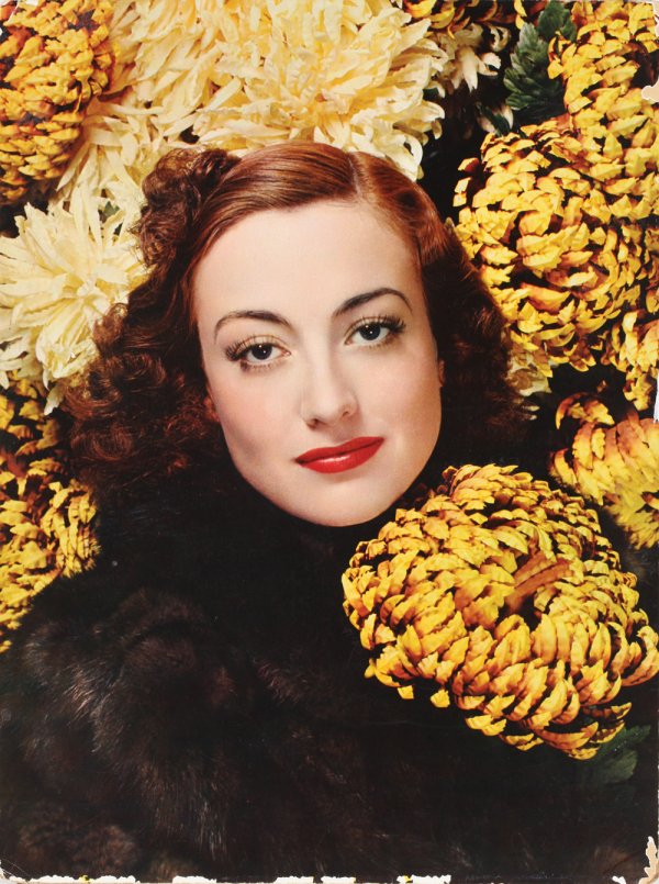 337: Joan Crawford color carbon bromide photo Hurrell