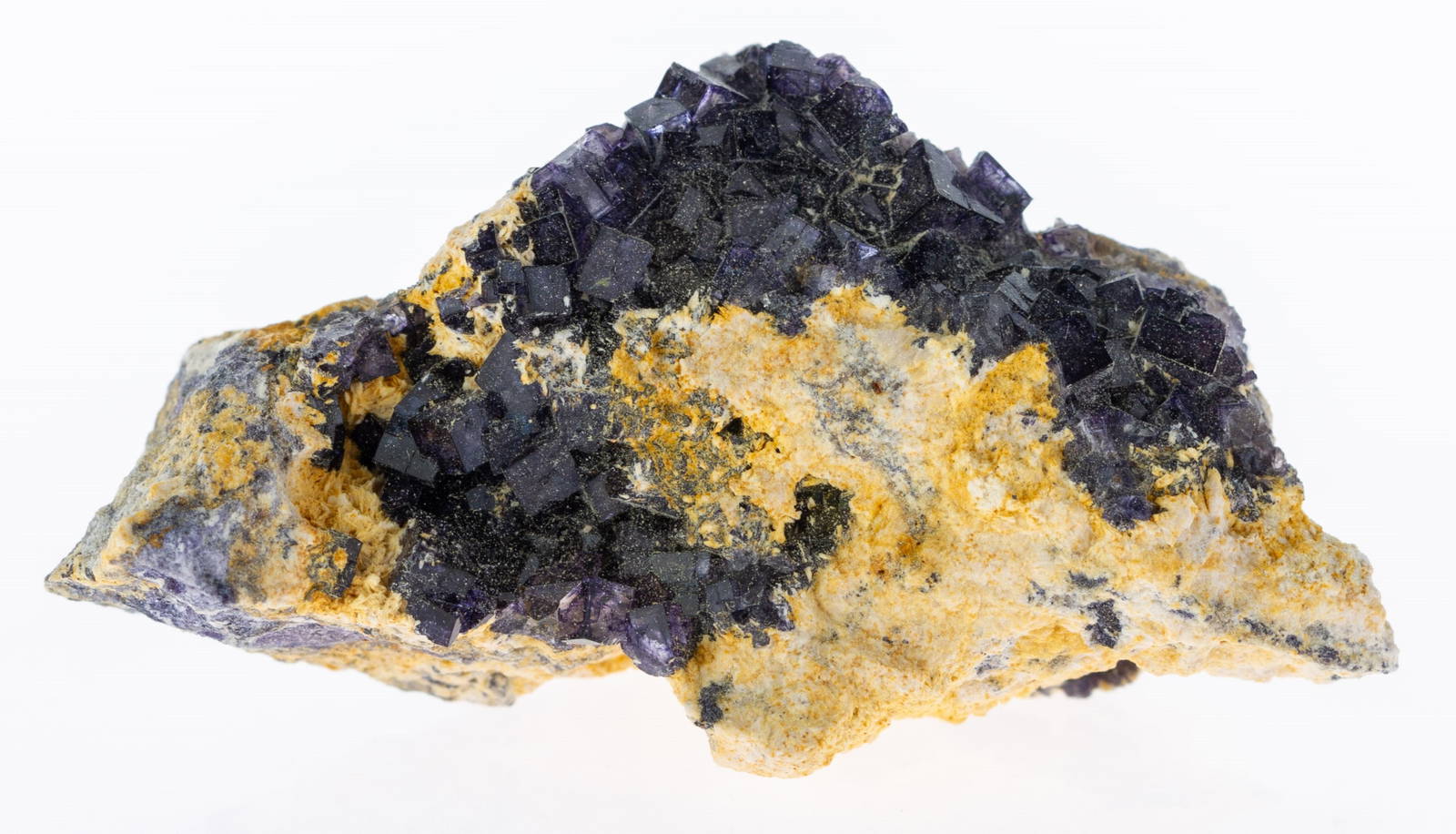 Collectible Rocks, Minerals & Fossils for Sale at Auction - Page 51