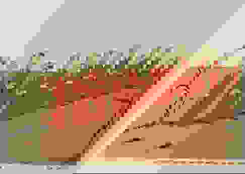 Dr. Seuss, 'the Bee Watcher', Signed Limited Edition Lithograph Auction