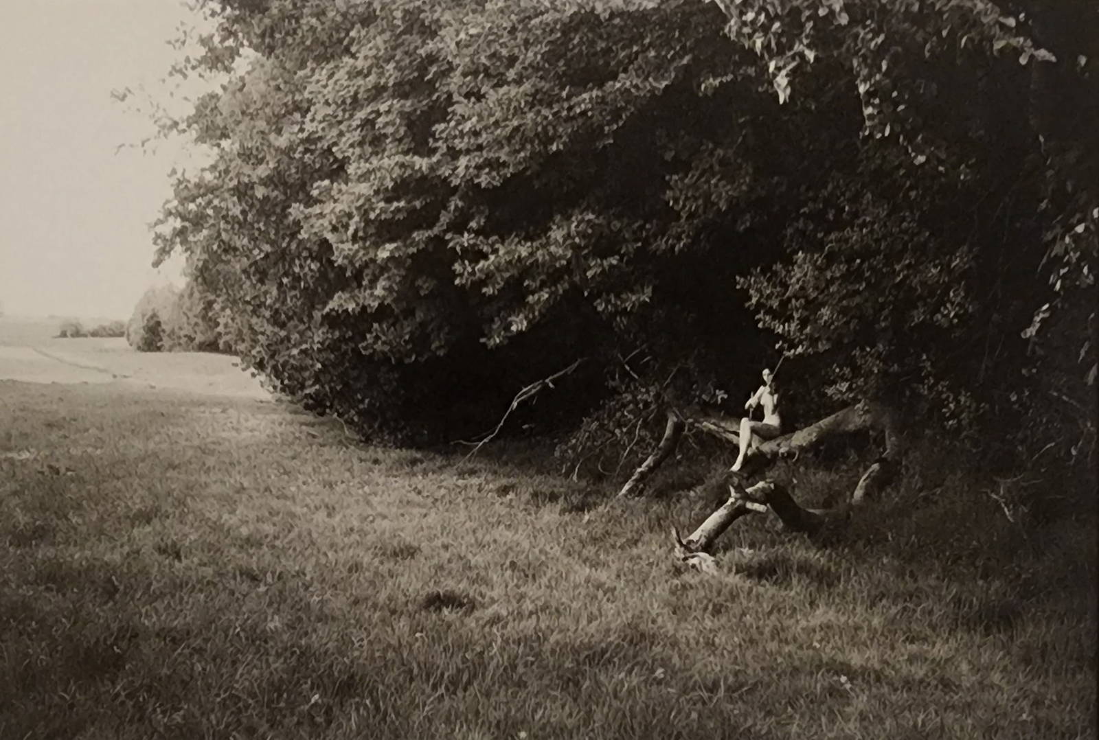 Pascal Baetens, 'artistic Nude Women', 2010 Auction