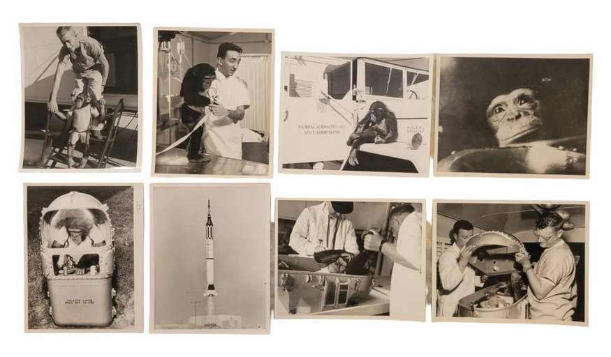 8 Nasa Photographs Of Ham The Chimp The Mercury Redstone 2 Mission