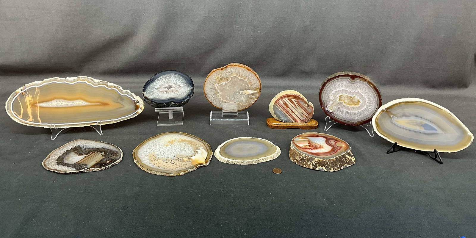 5 Large Format Agate Slices, And 5 Thick Cut Agate Slices. Stands ...