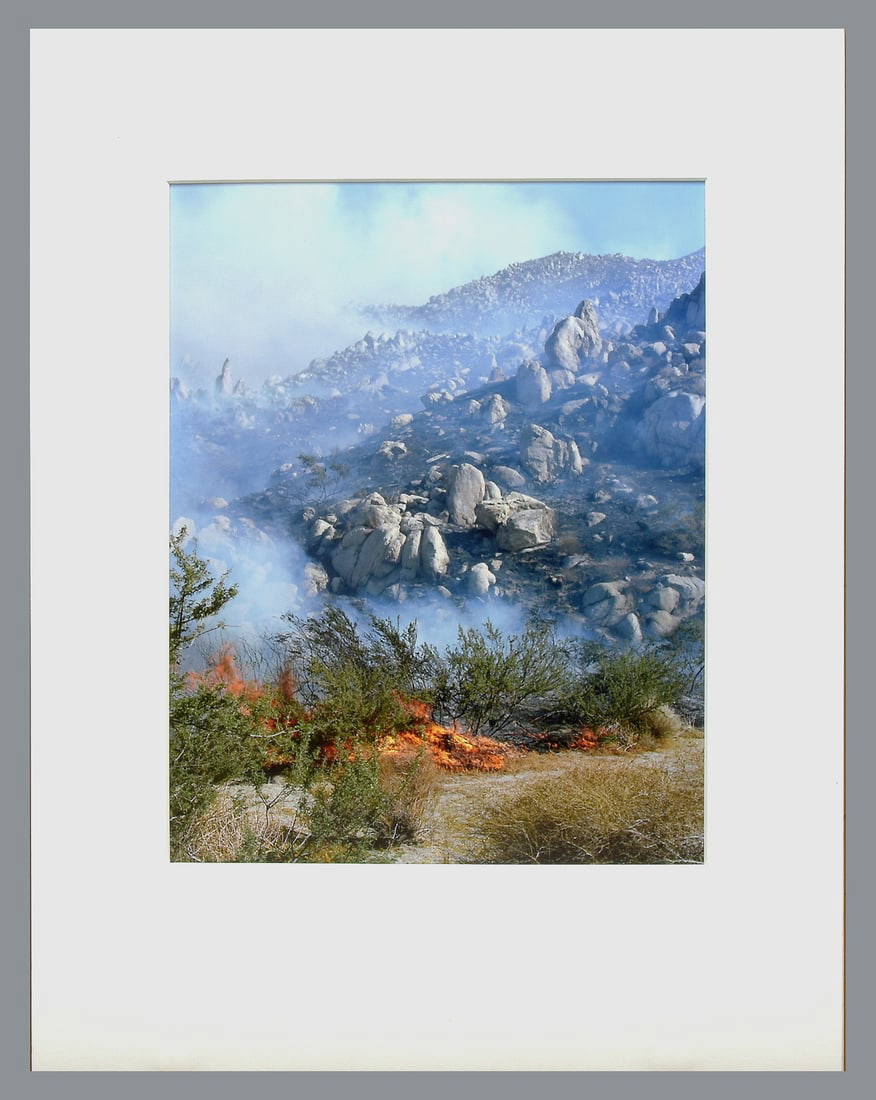 Gregory Halpern (1977 - ) Signed 2014 "untitled" Landscape 12"x9.5 ...