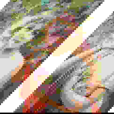 Emile Vernon (british 1872-1919) Spring-time Auction