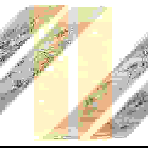 He Chong (1807-1883) Two Ink And Colour On Paper Scroll Paintings Auction