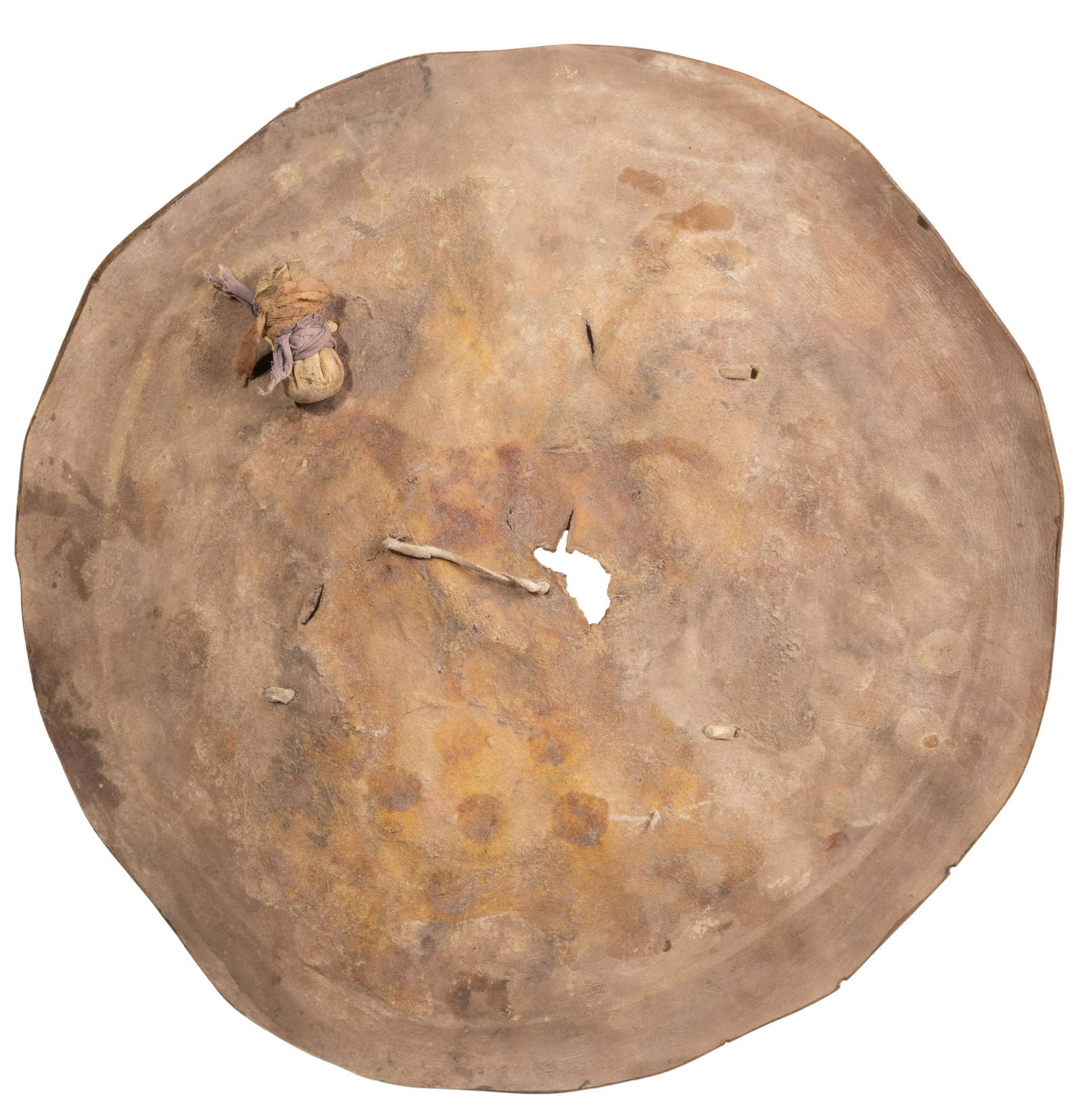 Native American Plains Indian Buffalo Hide Shield Auction