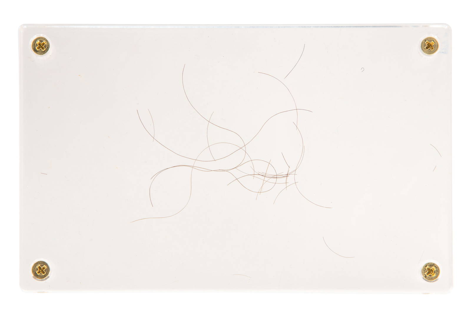 Geronimo (apache, 1829-1909) Hair Specimen Auction