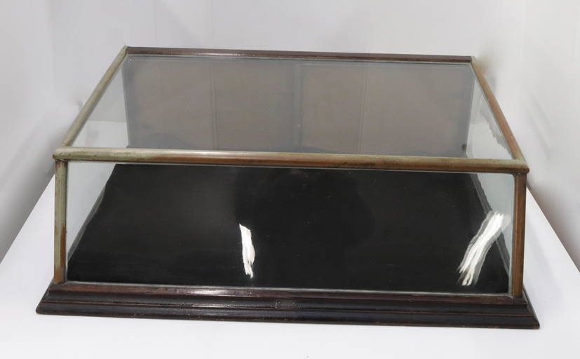 Antique Slant Front Display Case