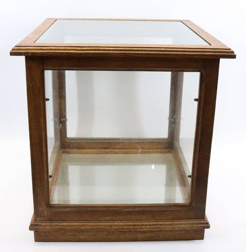 GLASS SIDED DISPLAY CASE (#0245) on Jan 16, 2023 | Hartzell's Auction ...