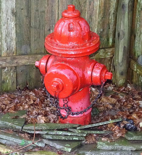 Antique Fire Hydrant