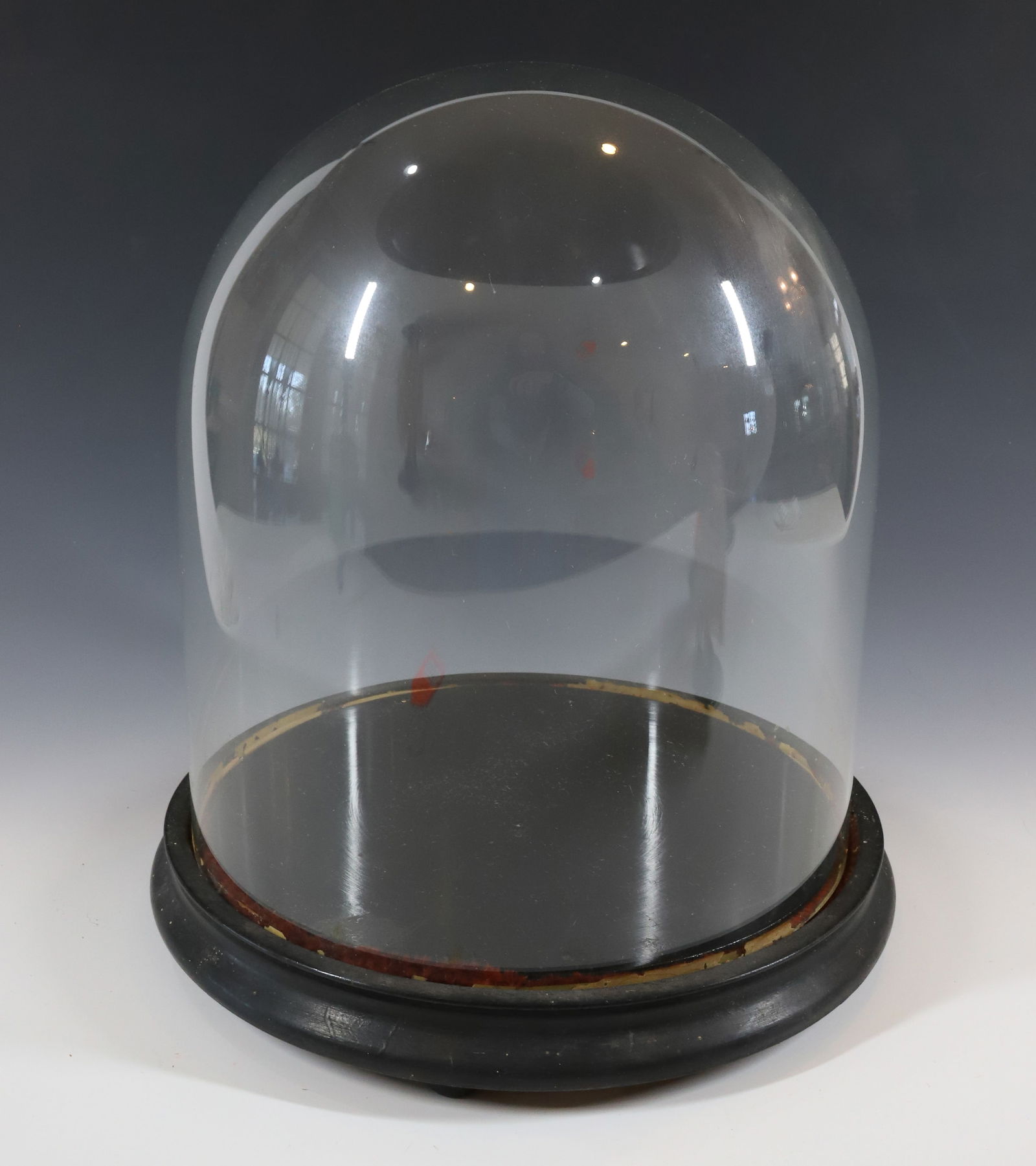 Antique Glass Dome Auction