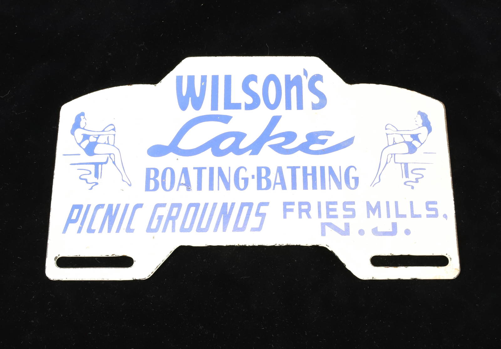 Wilson's Lake License Plate Topper - Jun 09, 2024 | Hartzell's Auction ...