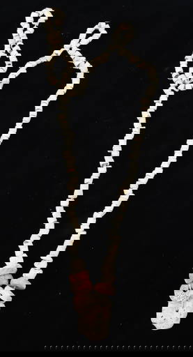 Bahia Shell Necklace