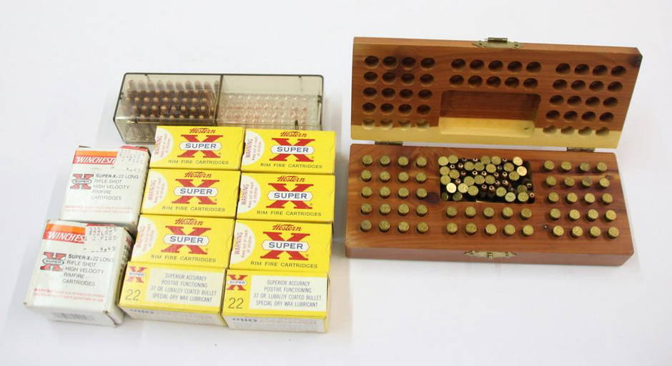 Lot Of .22 Long Rifle Shells