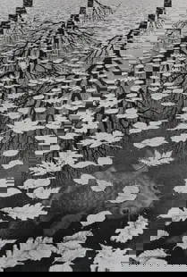 M.c. Escher "castrovalva" Etching Auction