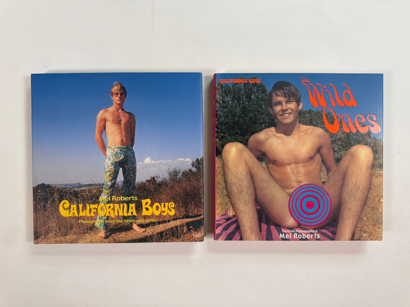 "wild Ones" And "california Boys" By Mel Roberts Lot Of 2 Gay Male Interest Nude Photography ...