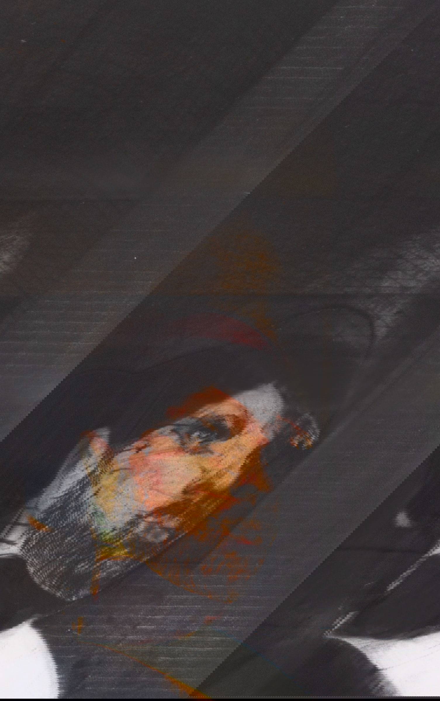 James Ochs Color Intaglio Print "the Inquisitor" Auction